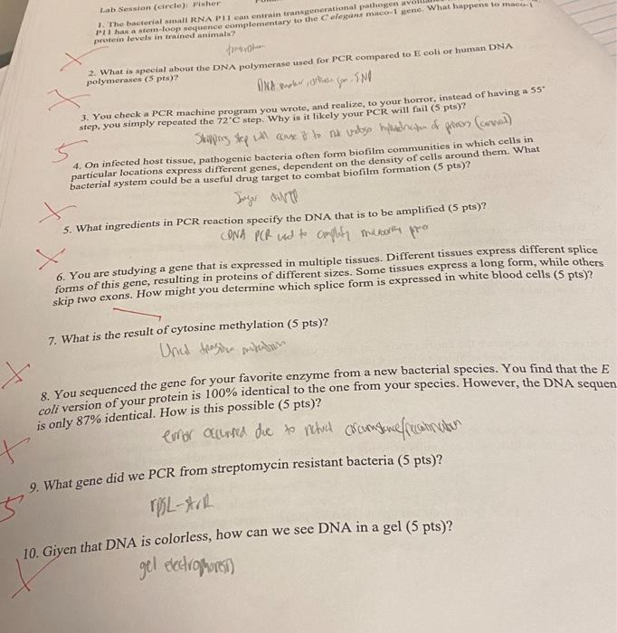 Solved Lab Session (circte): Fisher Pt haw a stero-loop | Chegg.com