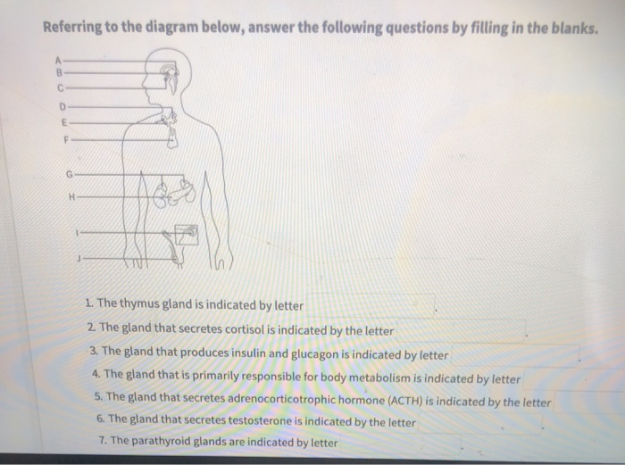 Solved Referring to the diagram below, answer the following | Chegg.com