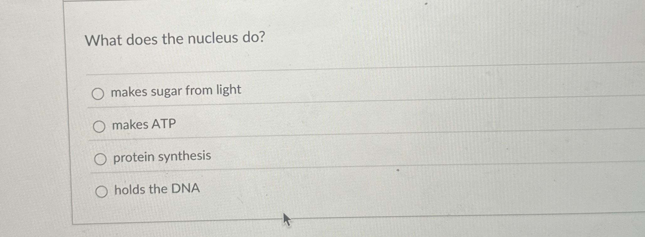 Solved What does the nucleus do?makes sugar from lightmakes | Chegg.com