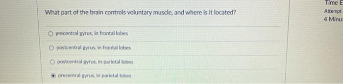 Solved What part of the brain controls voluntary muscle, and | Chegg.com