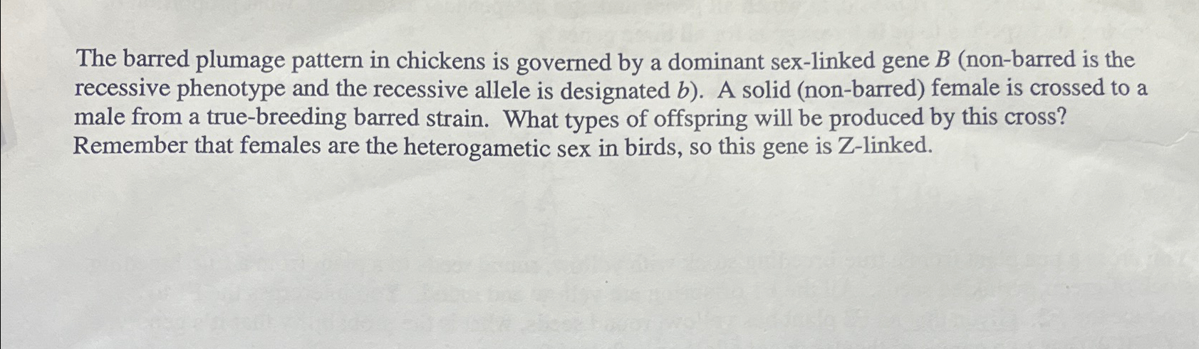 Solved The barred plumage pattern in chickens is governed by | Chegg.com