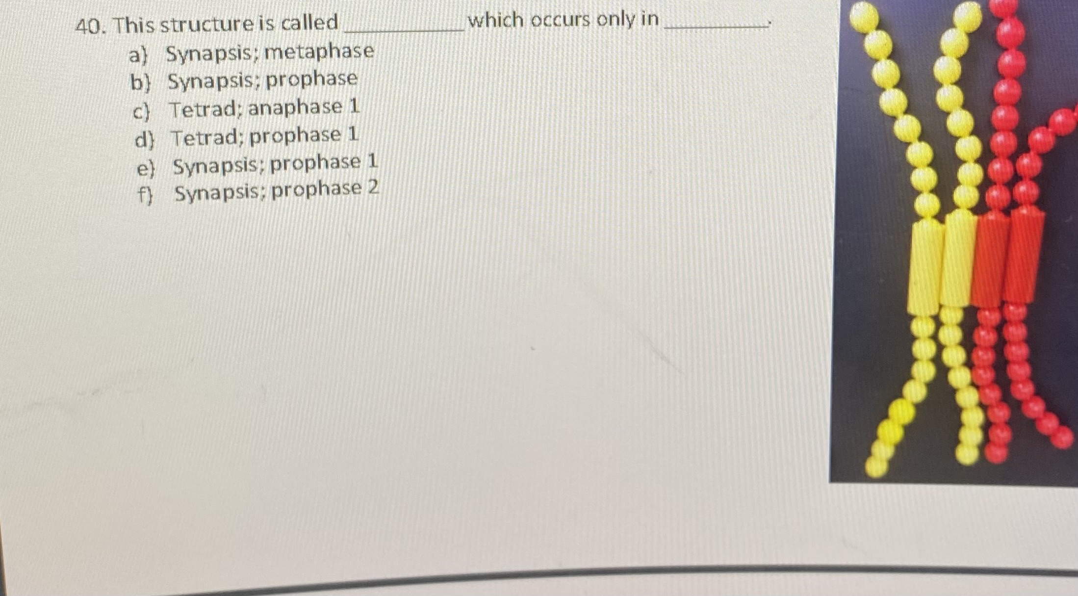 This structure is called which occurs only ina) | Chegg.com