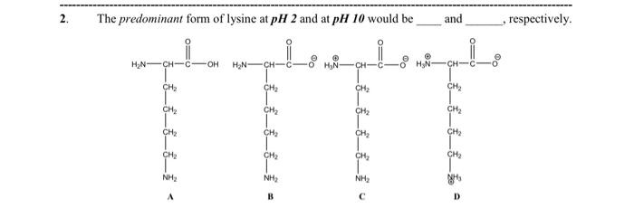 Solved The predominant form of lysine at pH2 and at pH10 | Chegg.com