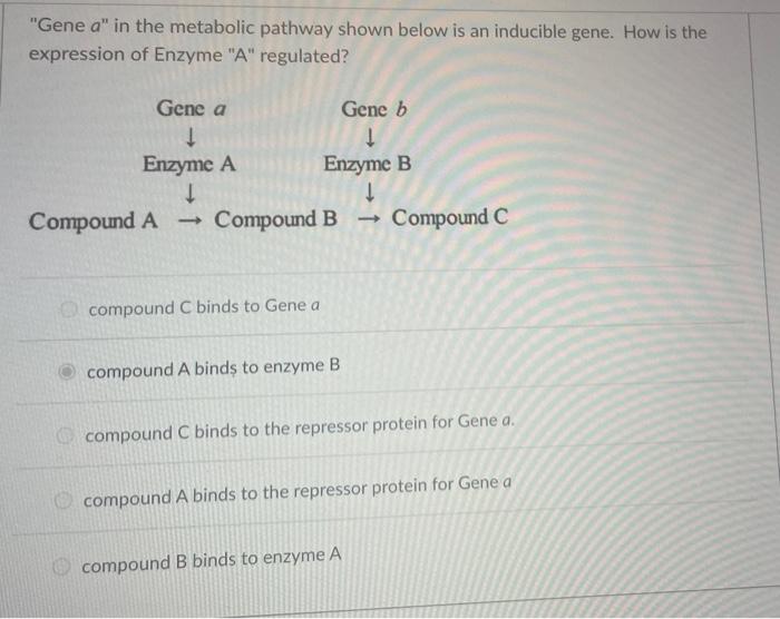 Solved In Griffith's experiments with Streptococcus | Chegg.com