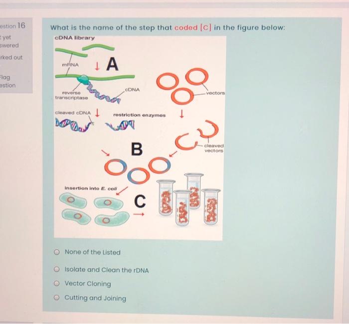 Solved estion 16 What is the name of the step that coded (c) | Chegg.com Solved estion 16 What is the name of the step that coded (c) | Chegg.com