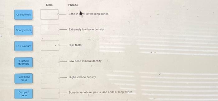 Solved Spengy bone Extremely low bone density Low calcium | Chegg.com