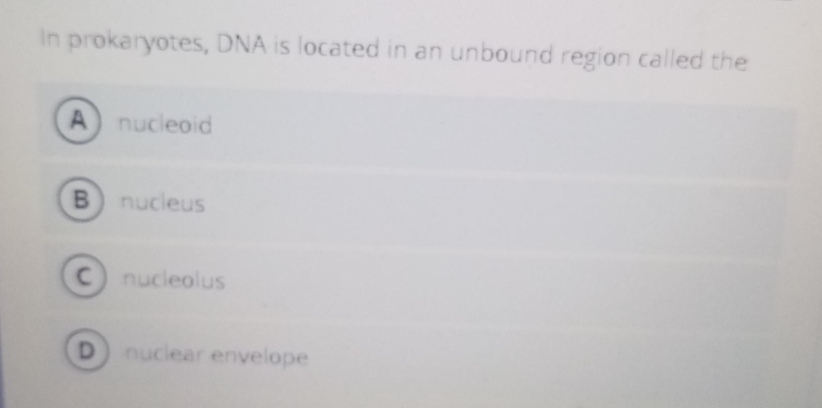 Solved In prokaryotes, DNA is located in an unbound region | Chegg.com