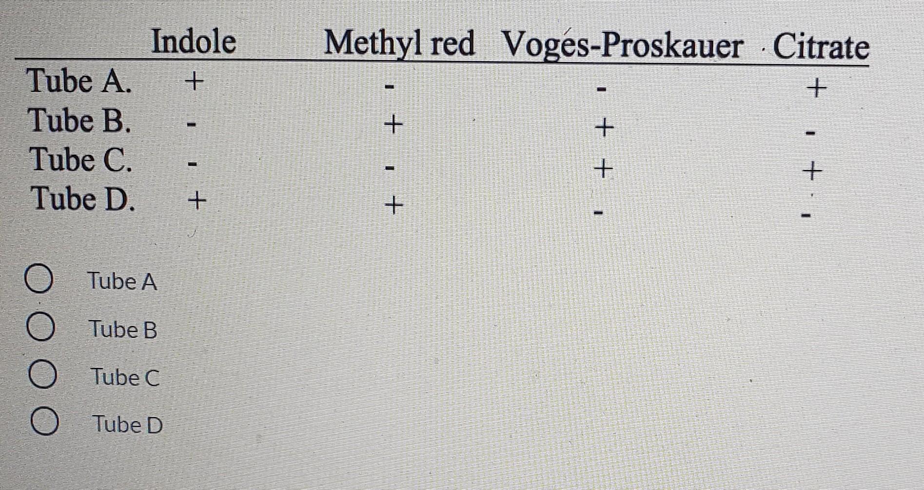 Solved Methyl red Voges-Proskauer Citrate + Indole Tube A. + | Chegg.com