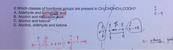 Solved 6 Which classes of functional groups are present in | Chegg.com