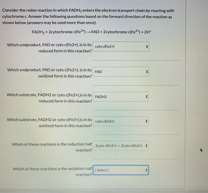 Solved Consider the redox reaction in which FADH2 enters the | Chegg.com