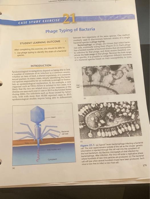 Solved 182 Case Study Exercise 21 Phage Typing of Bacteria | Chegg.com