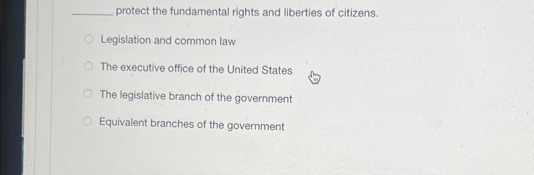 Solved protect the fundamental rights and liberties of | Chegg.com