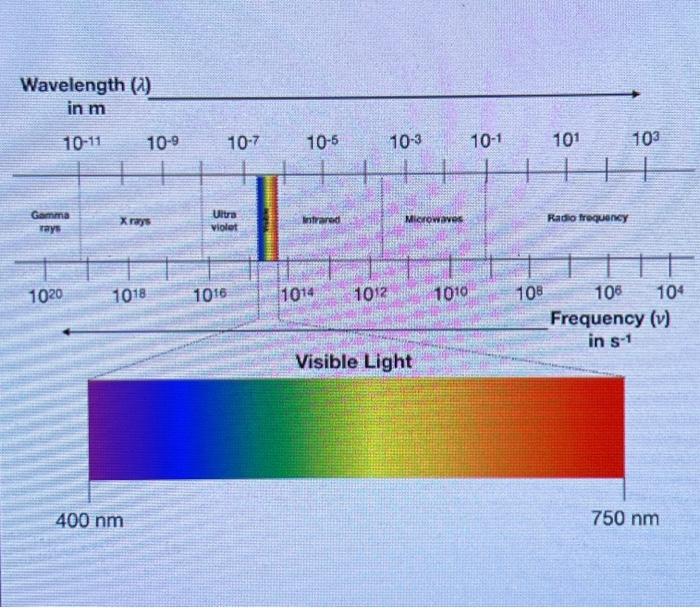 Solved Identify the region of the electromagnetic spectrum | Chegg.com Solved Identify the region of the electromagnetic spectrum | Chegg.com