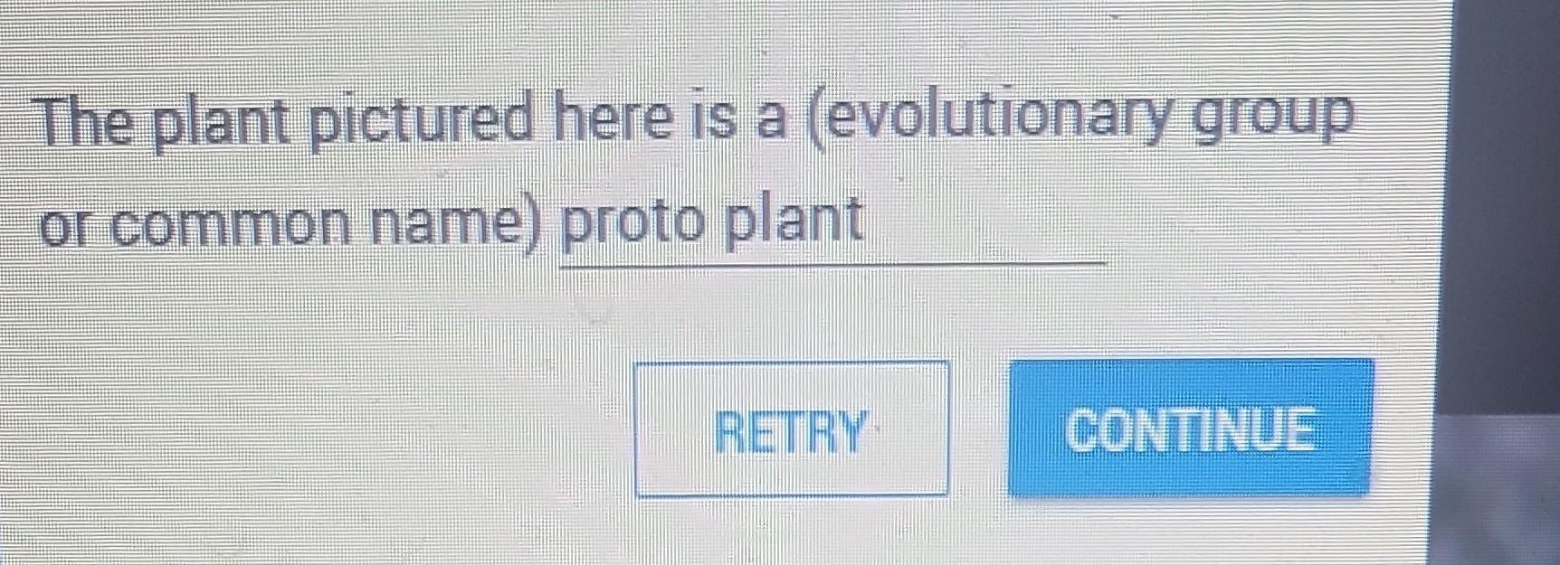 Solved The plant pictured here is a (evolutionary group or | Chegg.com