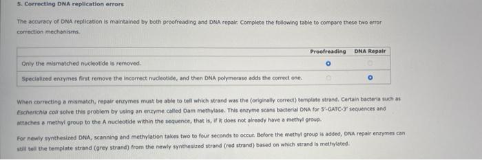 Solved 5. Correcting DNA replication errors The accuracy of | Chegg.com