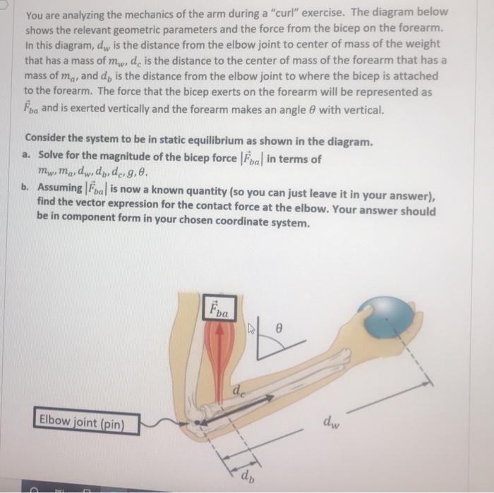 Solved You are analyzing the mechanics of the arm during a | Chegg.com
