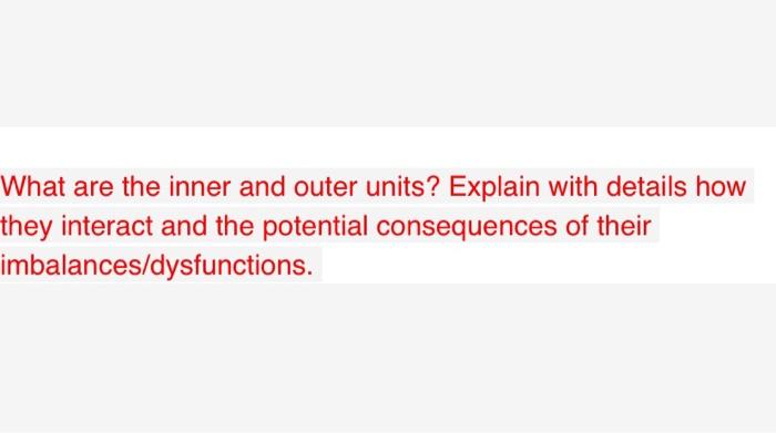 Solved What are the inner and outer units? Explain with | Chegg.com
