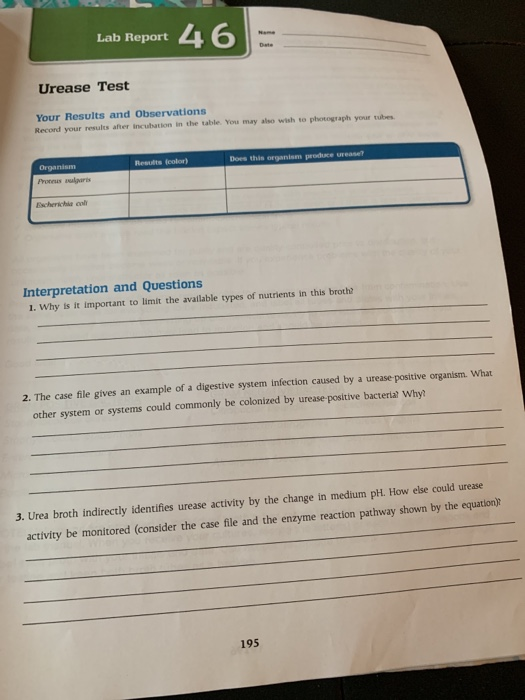 Solved Lab Report 4 6 Urease Test Your Results and | Chegg.com