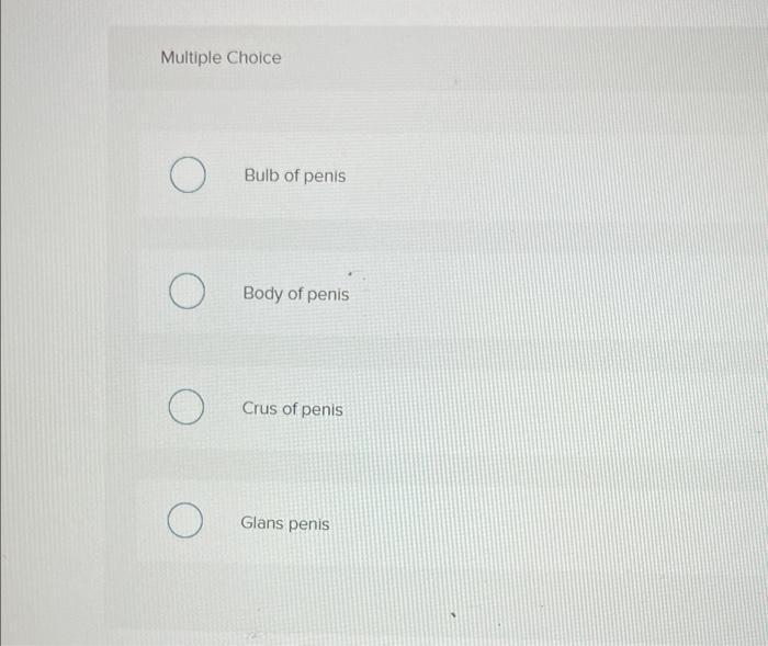 Solved Name the part of the penis highlighted in the image. | Chegg.com