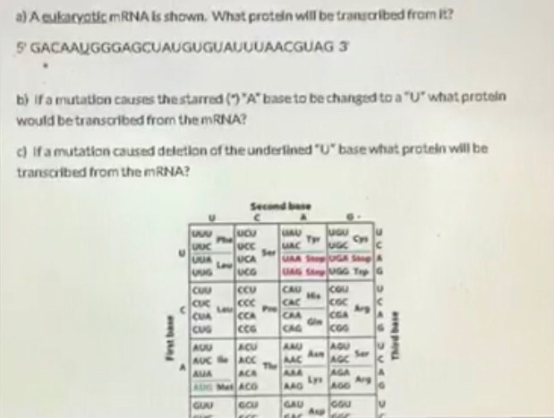 Solved a) A cikaryotic mRNA is shown. What protein will be | Chegg.com