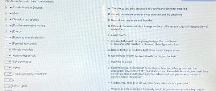 Solved Pair descriptions with their matching term Fossils | Chegg.com