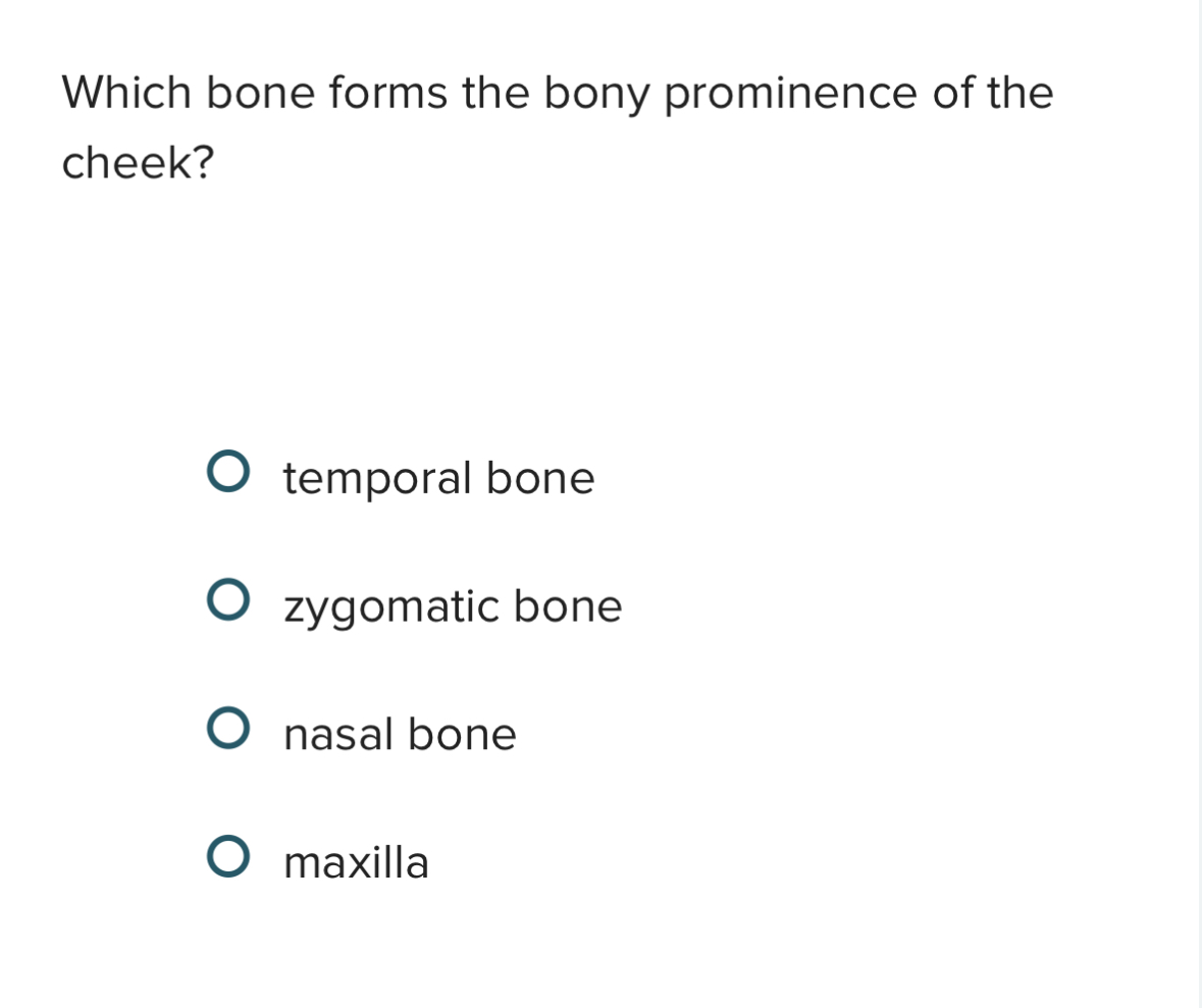 Solved Which bone forms the bony prominence of the | Chegg.com