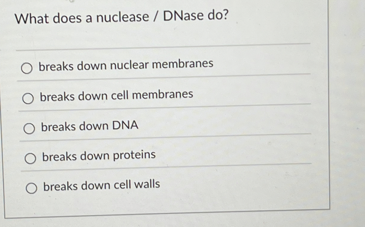 Solved What does a nuclease / ﻿DNase do?breaks down nuclear | Chegg.com