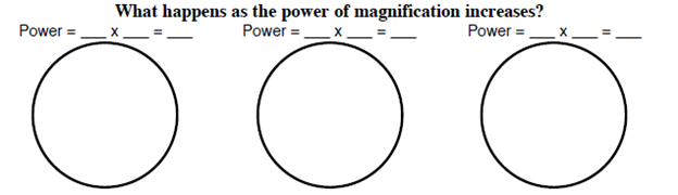 Solved What happens as the power of magnification increases? | Chegg.com