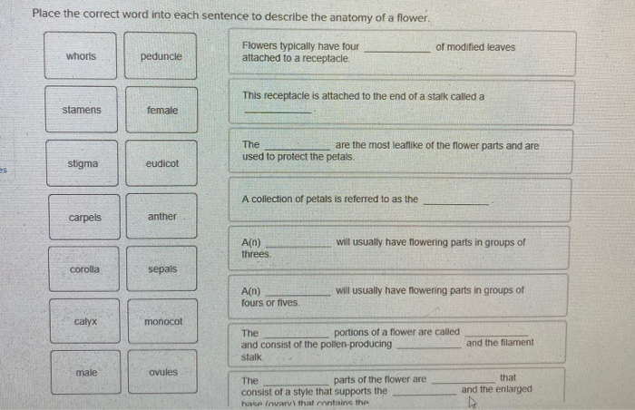 Solved Place the correct word into each sentence to describe | Chegg.com