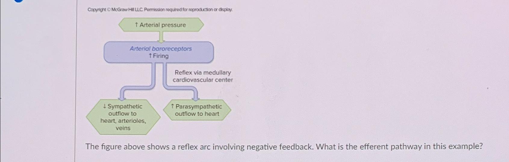 Solved The figure above shows a reflex arc involving | Chegg.com