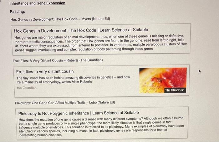 what are the HOX GENES AND WHAT DO THEY HAVE TO DO | Chegg.com