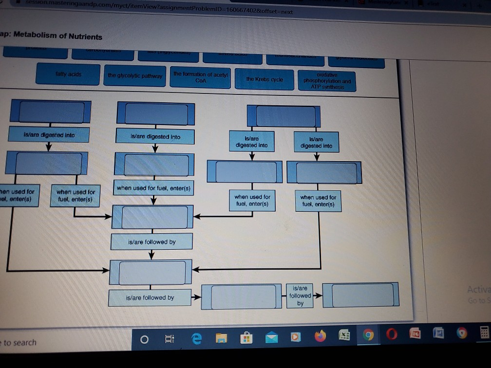 on masteringaandp.com/myct/itemView? | Chegg.com