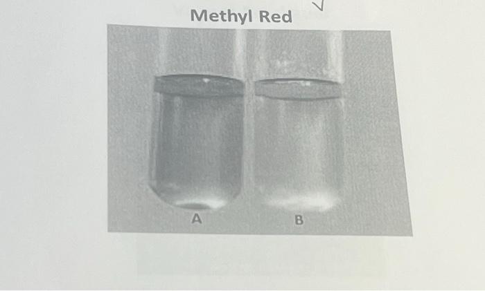 Solved mixed acide fermentation/methyl reswhat is being | Chegg.com