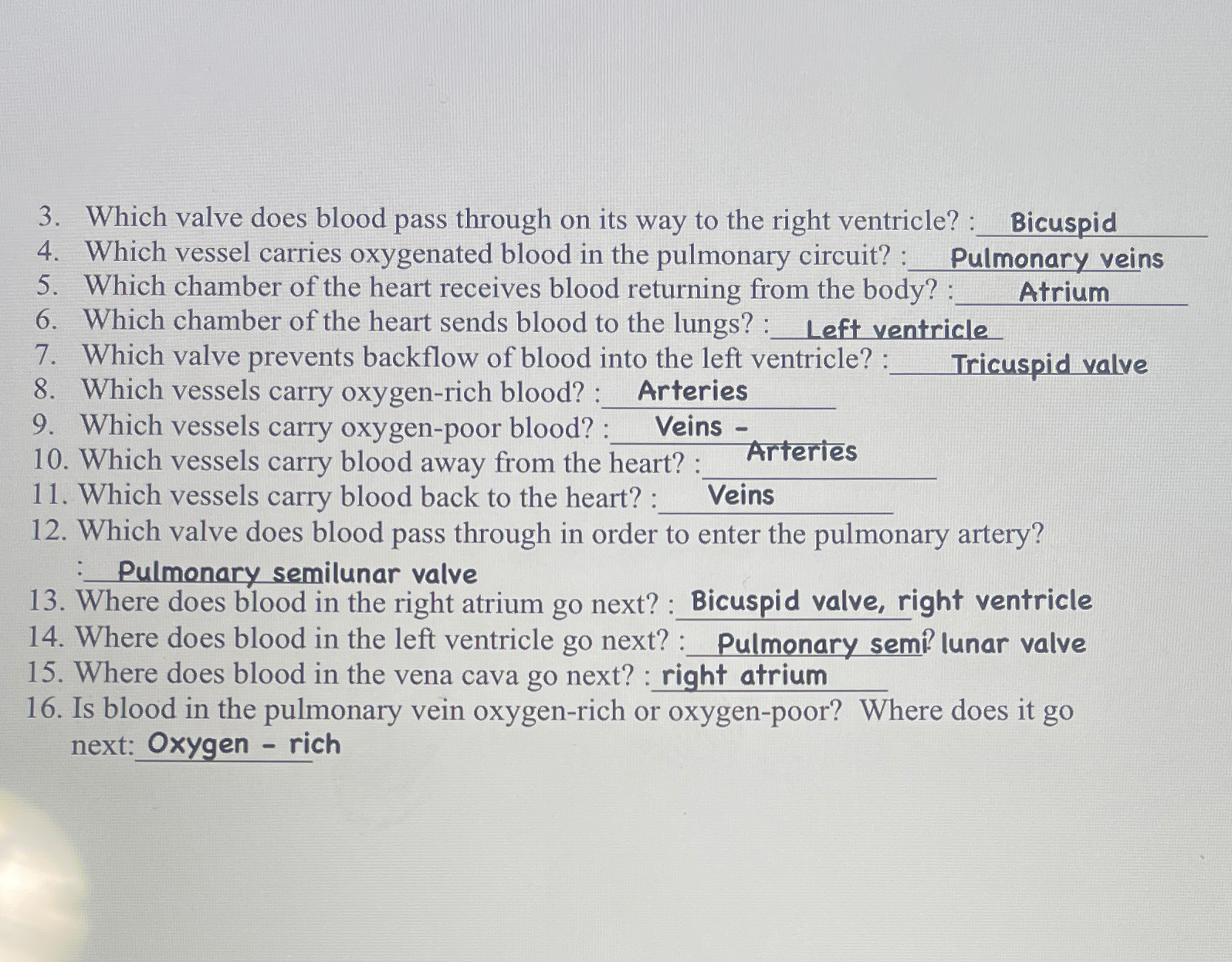 Solved Which valve does blood pass through on its way to the | Chegg.com