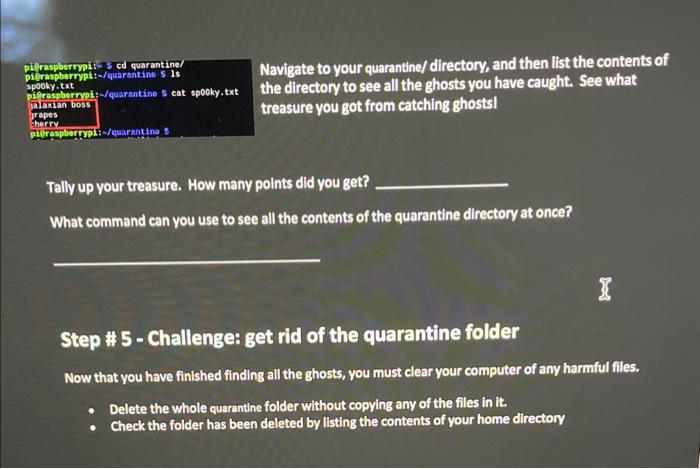 Solved Hack the Pi's terminal and learn basic cybersecurity | Chegg.com