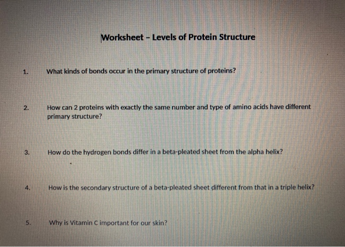 Solved Worksheet - Levels of Protein Structure 1. What kinds | Chegg.com