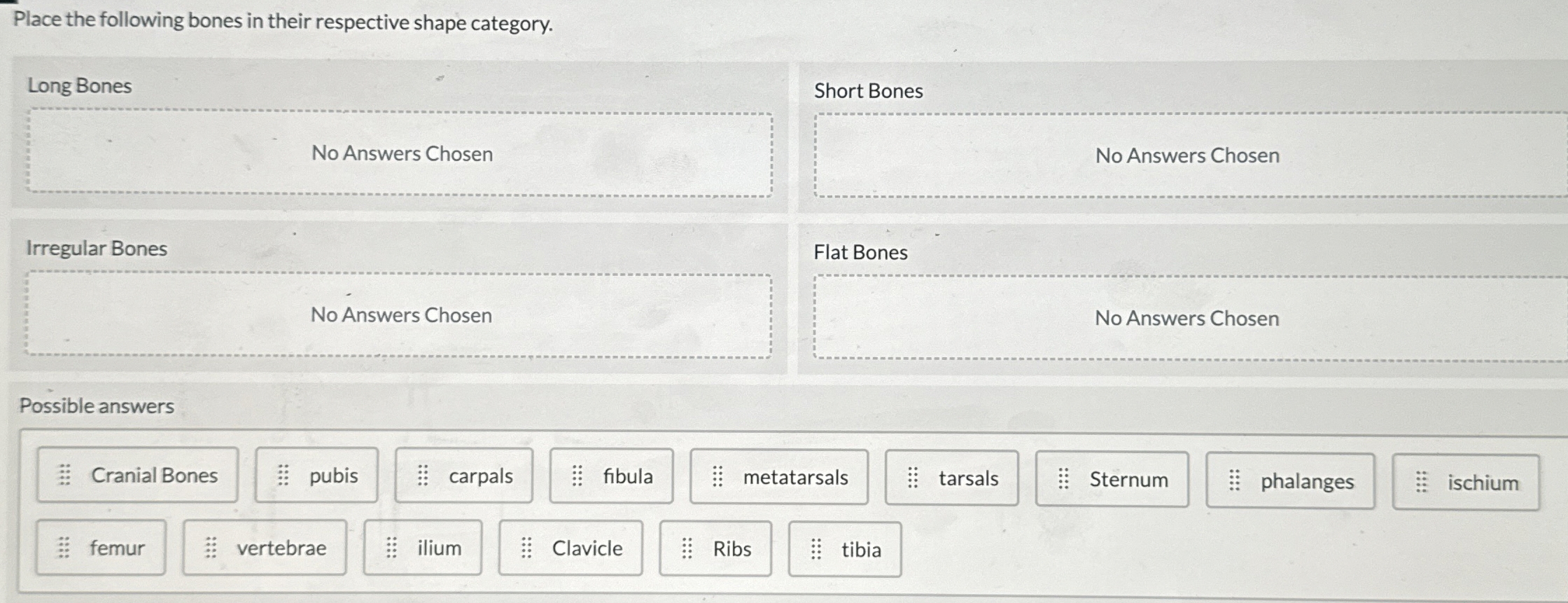 Solved Place the following bones in their respective shape | Chegg.com