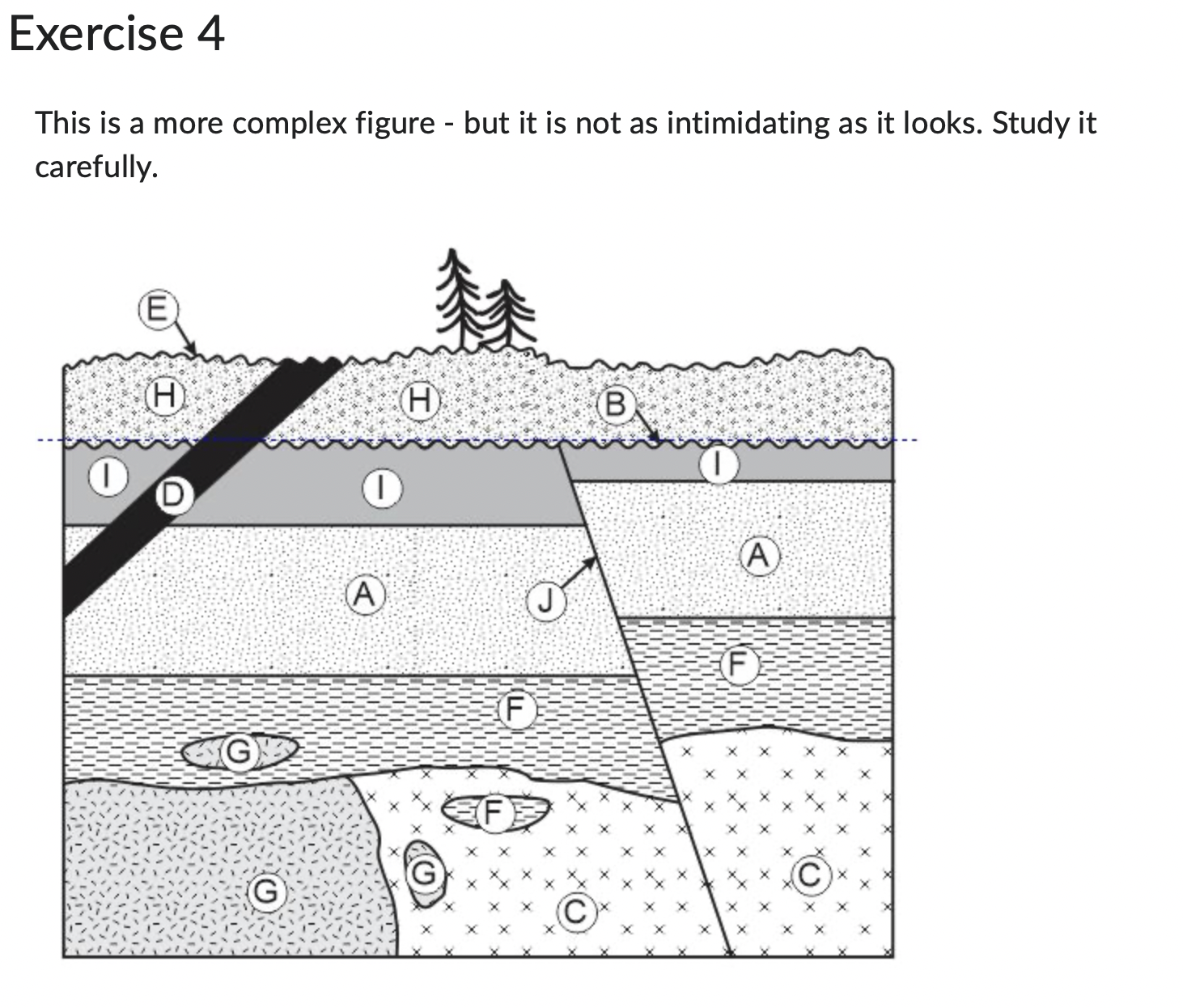 Solved Order the geologic features (strata, ﻿faults, | Chegg.com