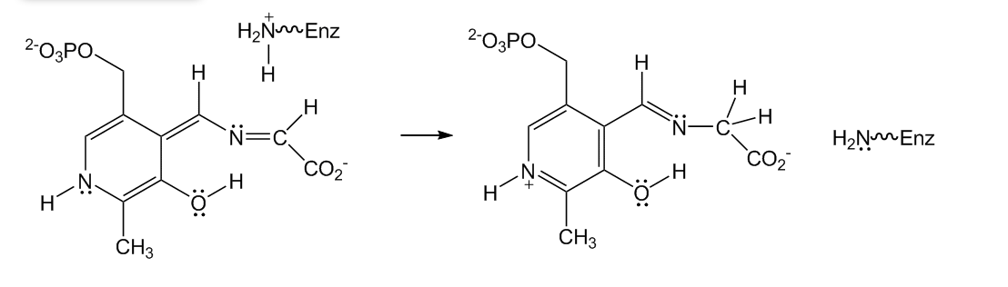 Solved In addition to a dehydration pathway giving pyruvate, | Chegg.com