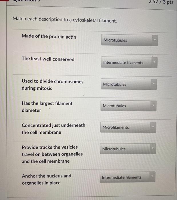 Solved 2.57/3 pts Match each description to a cytoskeletal | Chegg.com