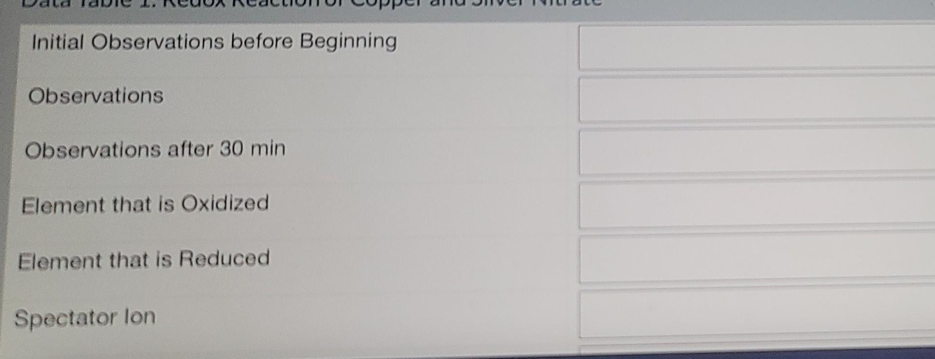 Initial Observations before Beginning Observations | Chegg.com