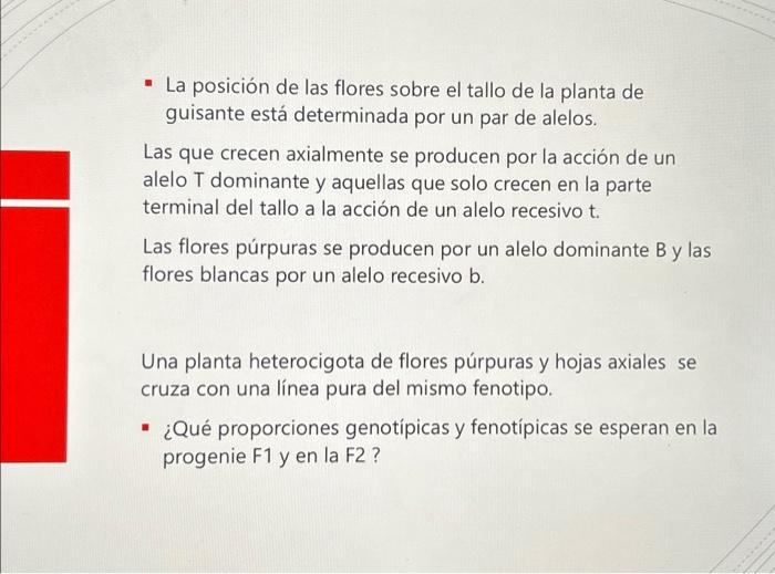 Solved The position of the flowers on the stem of the pea | Chegg.com