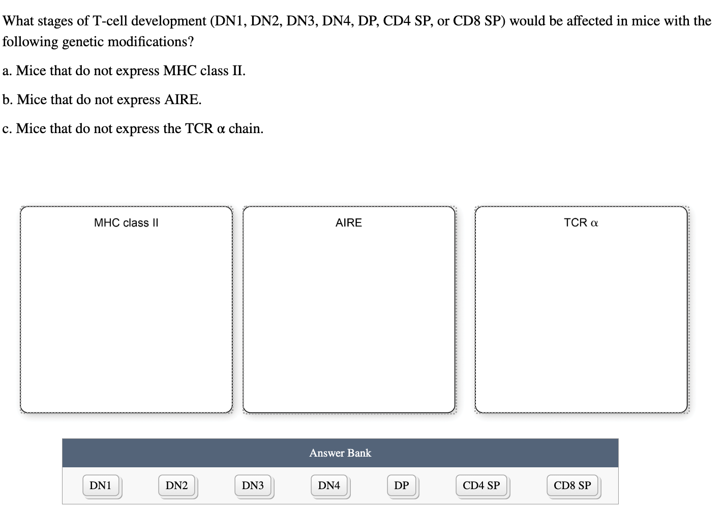Solved What stages of T-cell development (DN1, ﻿DN2, ﻿DN3, | Chegg.com