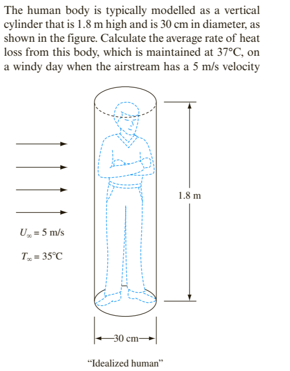Solved The human body is typically modelled as a vertical | Chegg.com