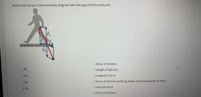 Solved Match the forces in the free body diagram with the | Chegg.com
