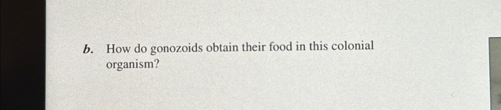 Solved b. ﻿How do gonozoids obtain their food in this | Chegg.com