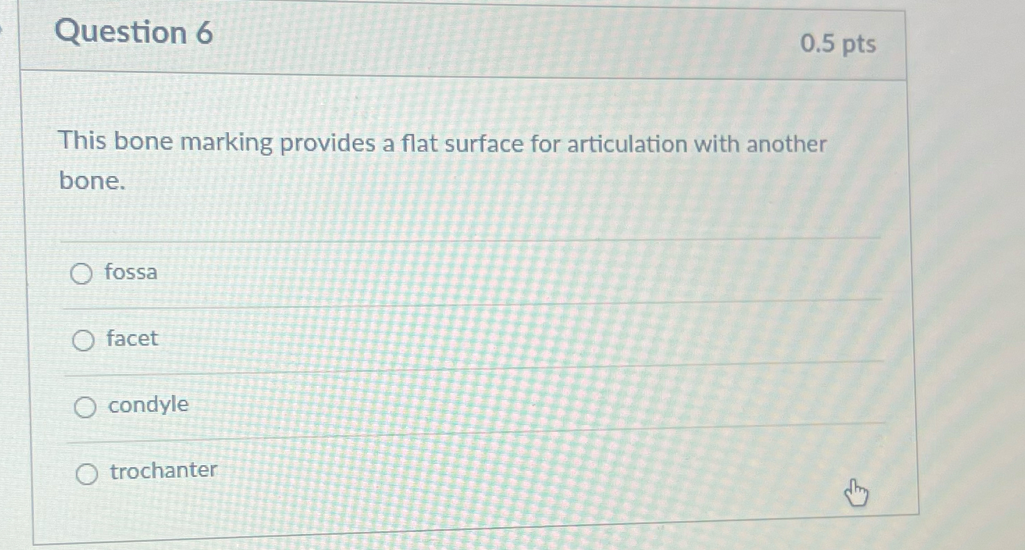 Solved Question 60.5ptsThis bone marking provides a flat | Chegg.com