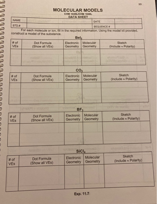 Solved MOLECULAR MODELS CHM 1045L/CHM 1046L DATA SHEET NAME | Chegg.com