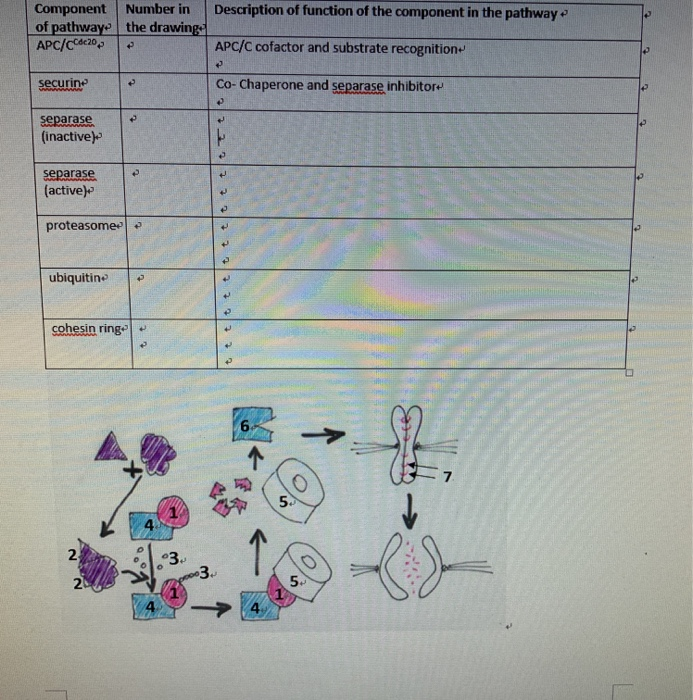 Solved Description of function of the component in the | Chegg.com