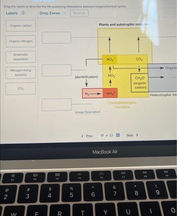 Solved Drag the labels to describe the life-sustaining | Chegg.com